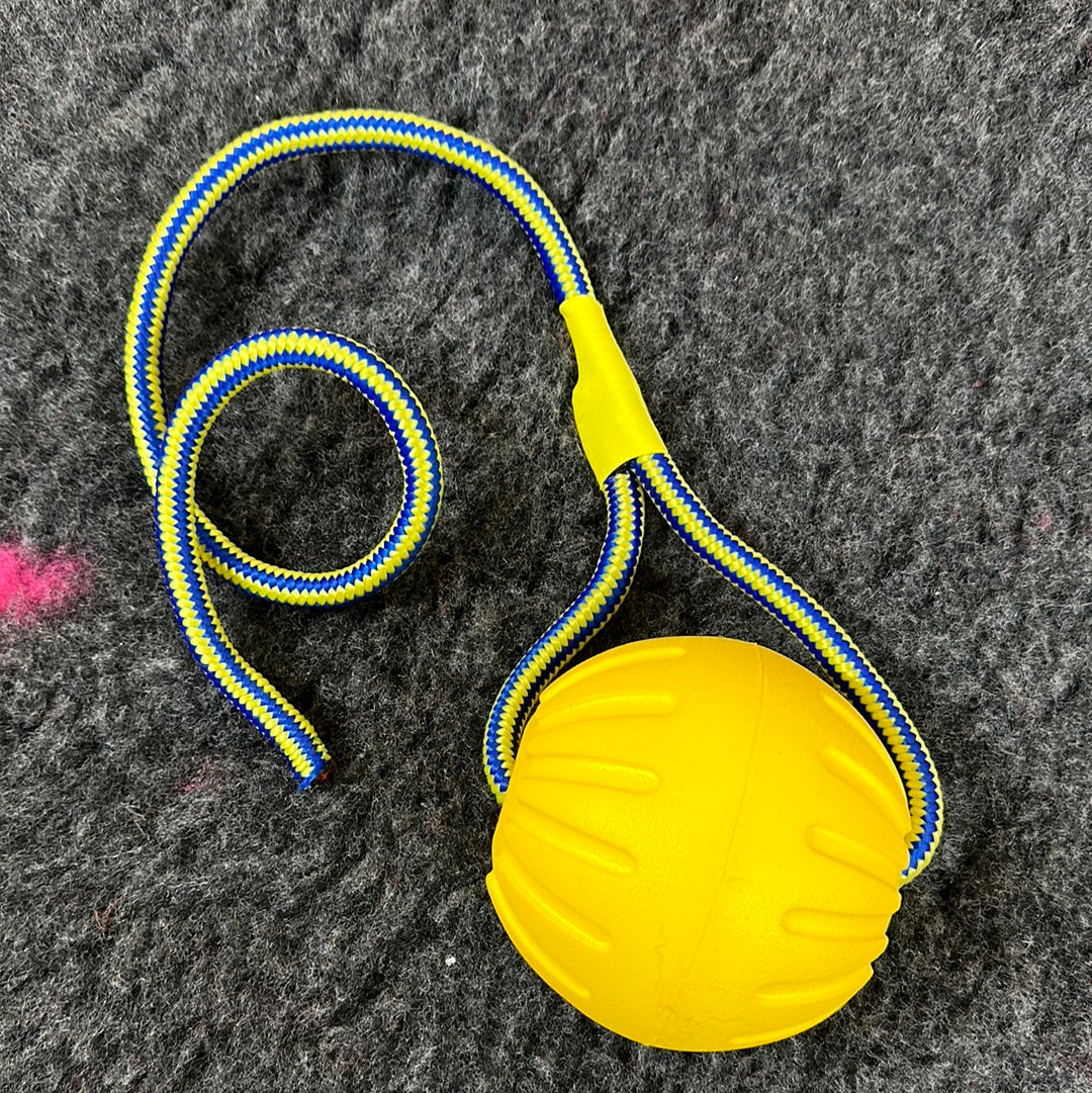 Large Durafoam Ball on Rope – K9 Factory UK